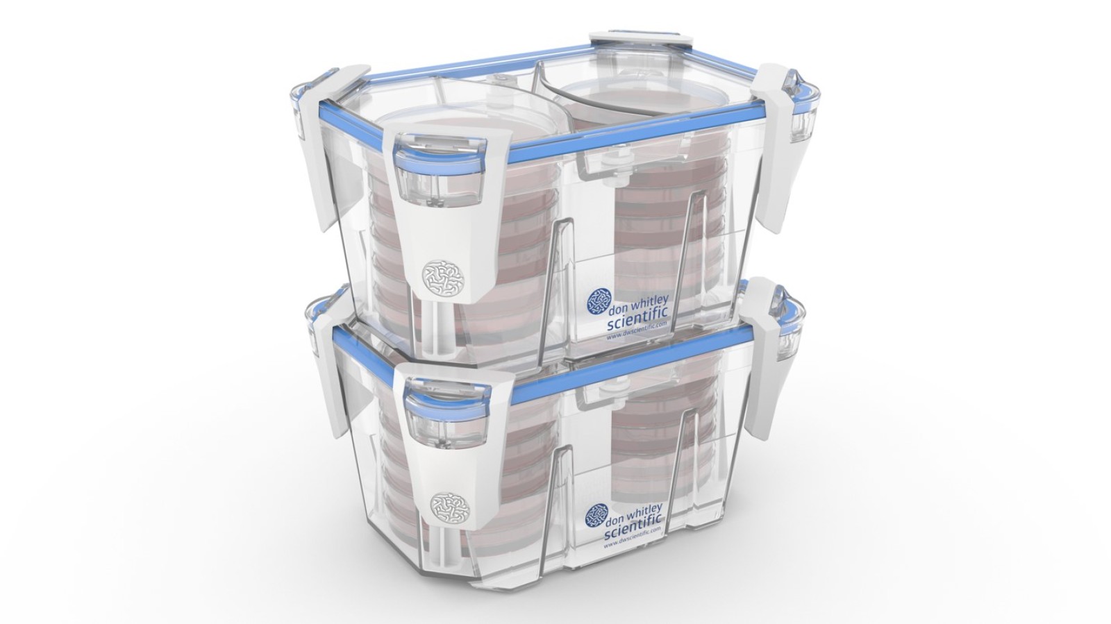 Whitley Anaerobenbox